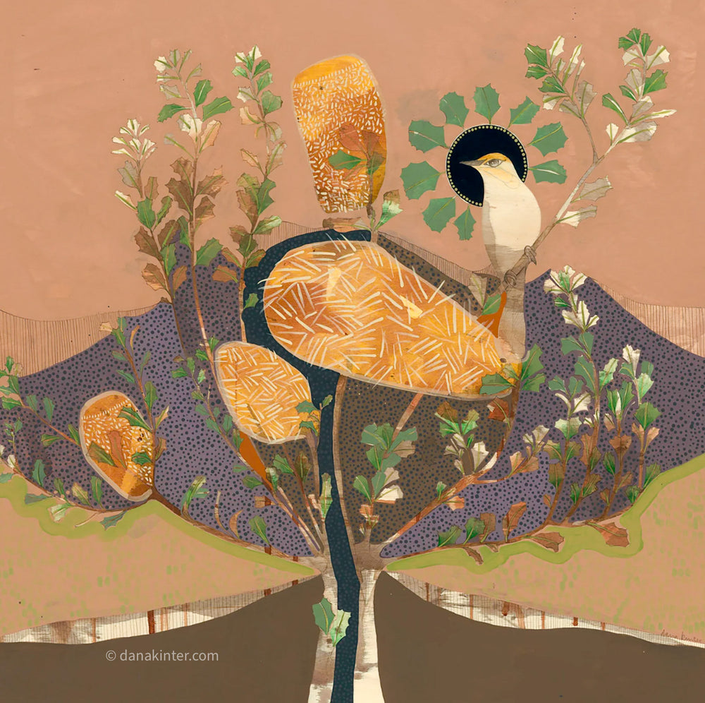 dana kinter – danakinter