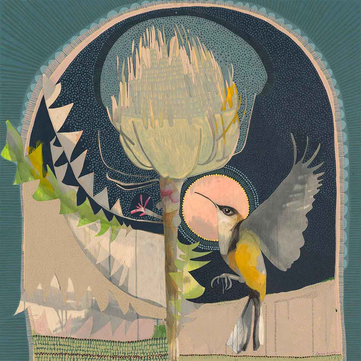 dana kinter – danakinter